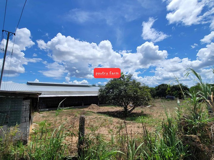 BULACAN POULTRY FARM FOR SALE [Lots 🚜] (May 2026) in San Miguel ...