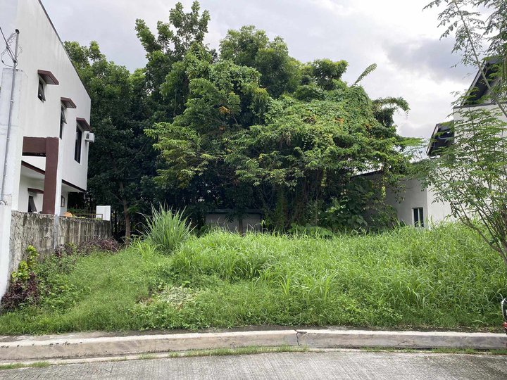 Residential lot for sale [Lots 🚜] (March 2026) in Pasig, Metro Manila ...