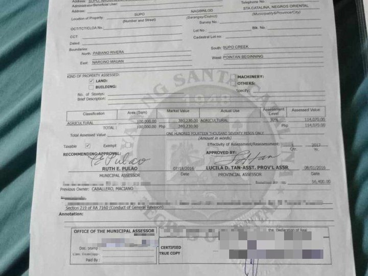 Farm lot. 16 hectares [Lots 🚜] (May 2026) in Santa Catalina, Negros ...