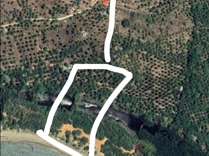 Beach lot for sale 6,000 square meters [Beach Properties 🏖️] (May 2026 ...