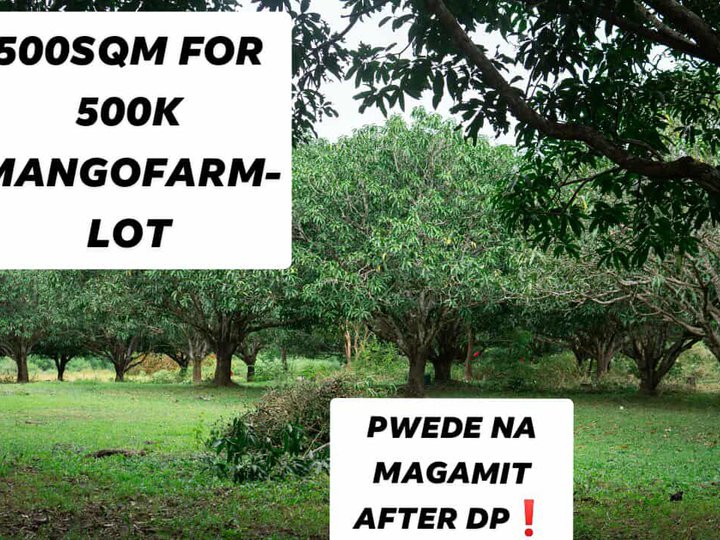 MANGO FARM IN SAN JUAN BATANGAS [Lots 🚜] (February 2026) in San Juan ...