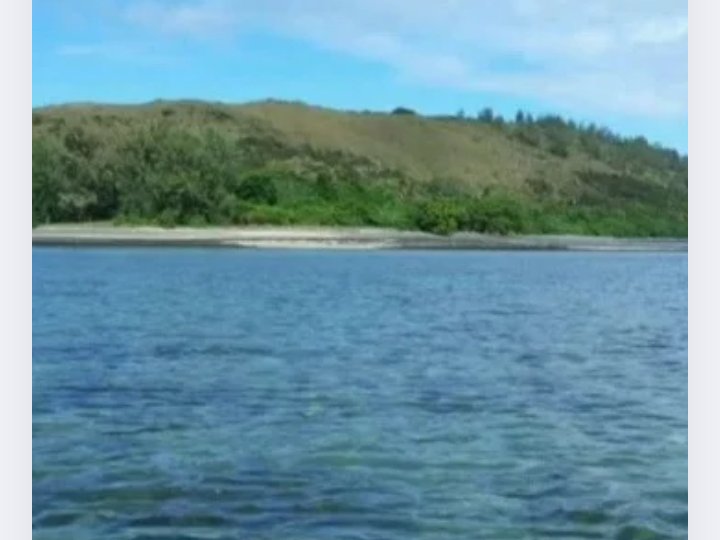 Canton Island ideal for Resort 118 hactares is FOR SALE near Daet ...