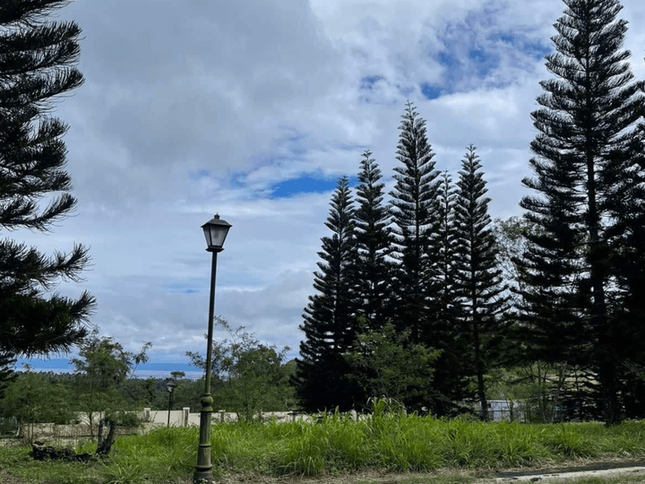 Residential Lot For Sale In Hillside Tagaytay Highlands [Lots 🚜 ...