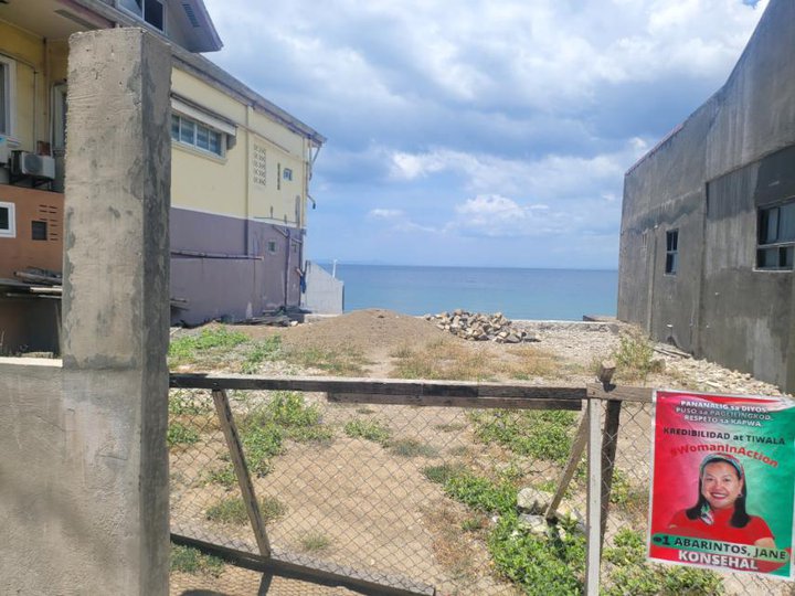Below Market Value! 390sqm Beachfront & Roadside Bundle in Mabini ...