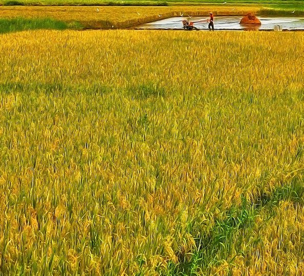 Explore the Best of Rizal Province - Living in Rizal: Guide to your new ...