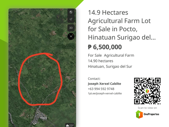 14.9 Hectares Agricultural Lot - Pocto, Hinatuan Surigao del Sur - OnePropertee Buyer Community