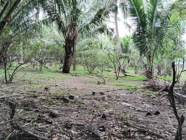 LOT 1930SQM 2.8 MILLION - OFW Guide: Buying Property in the Philippines