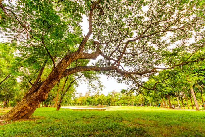 Top 6 Reasons Why Living in Bulacan is Ideal for Your Family - Living ...