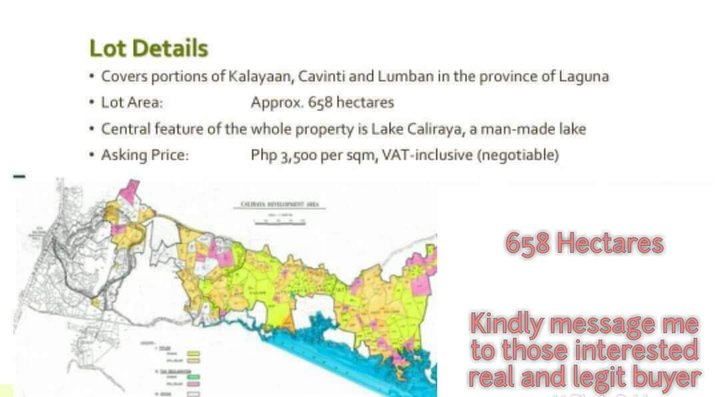 658 HECTARES LOT - OFW Guide: Buying Property in the Philippines
