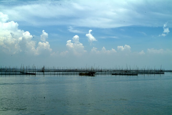 Agriculture in Rizal - Living in Rizal: Guide to your new home