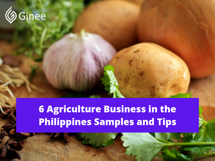 6 Agriculture Business in the Philippines Samples and Tips - Farm Lots ...