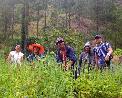 Sustainable Local Agriculture With Small-Scale Farmers - Farm Lots ...