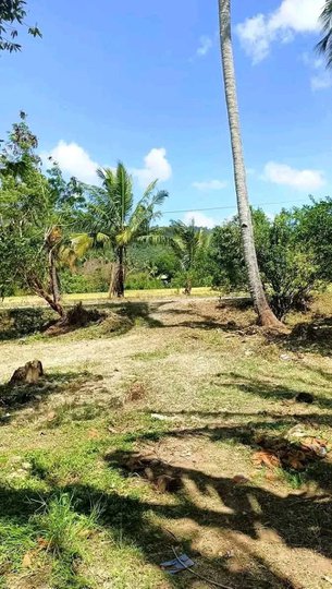 Residential Lot For Sale 😊 - OFW Guide: Buying Property in the Philippines