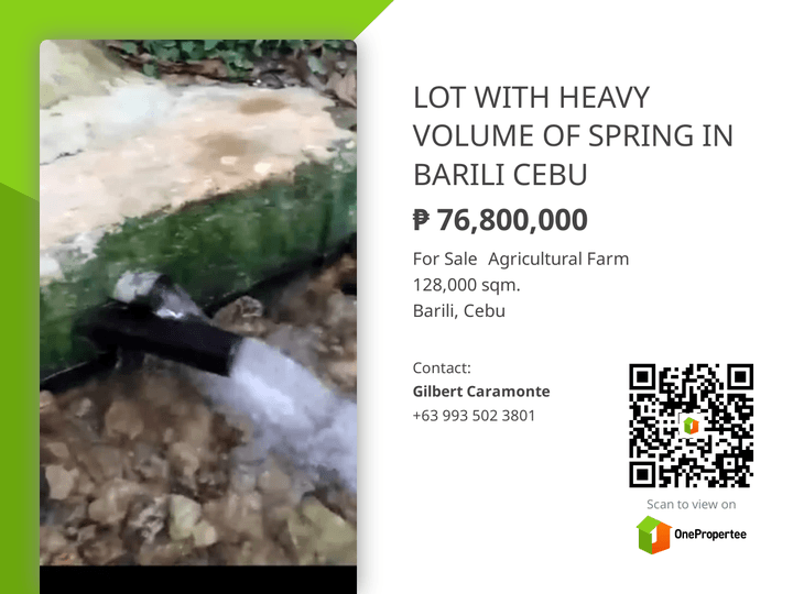 LOT WITH HEAVY VOLUME OF SPRING WATER IN BARILI , CEBU - OnePropertee ...