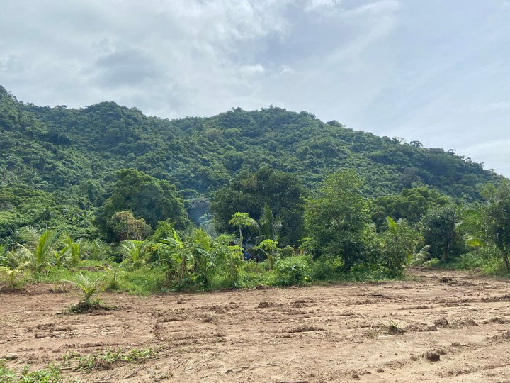 Five tips on how to start a farm even without prior experience - Farm ...