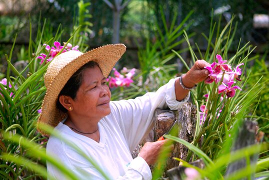 Agriculture in Rizal - Living in Rizal: Guide to your new home