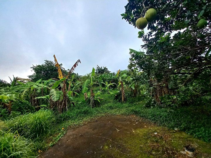 Lot for sale - OFW Guide: Buying Property in the Philippines