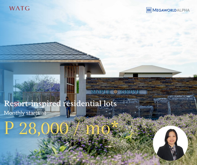 GOOD FOR INVESTMENT (FLIPPING, LAND BANKING) INSIDE OF A TONWSHIP - OFW ...