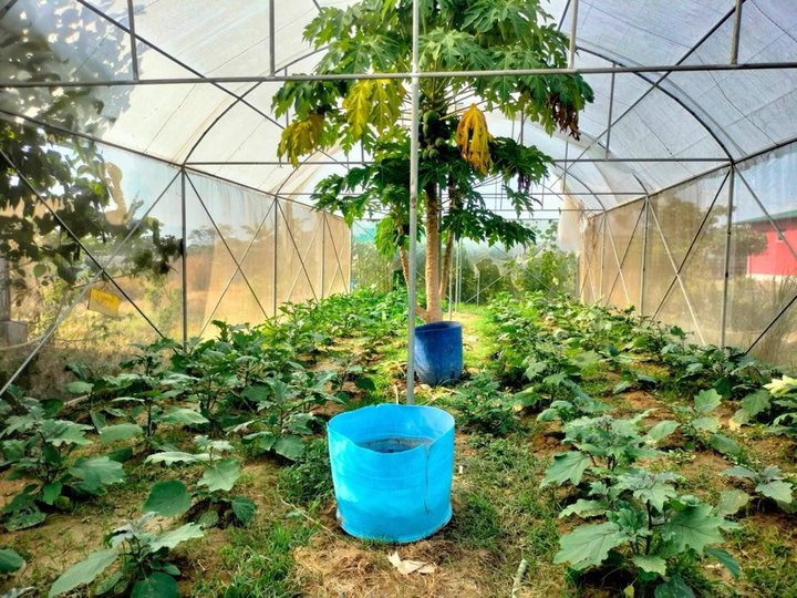 Here’s How to Start An Agribusiness - Farm Lots Philippines
