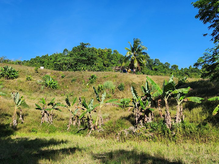 Altavas Aklan Logo