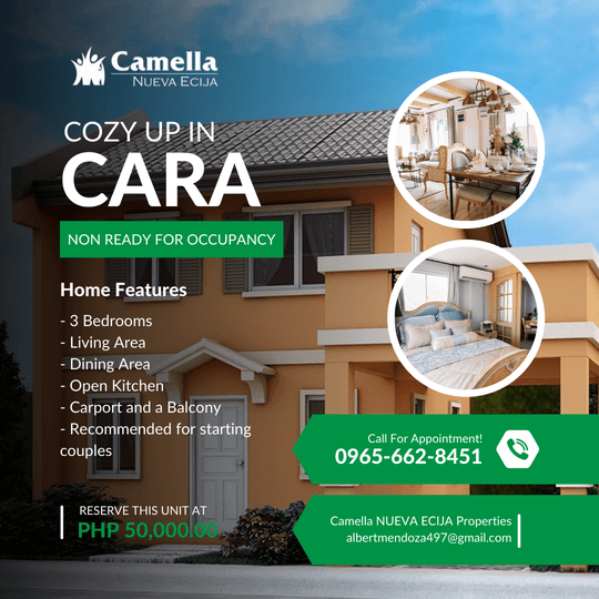 Open House Camella Nephithyrion: Camella House Interiors